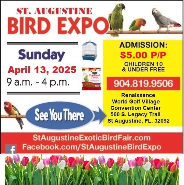 Saint Augustine Bird Expo